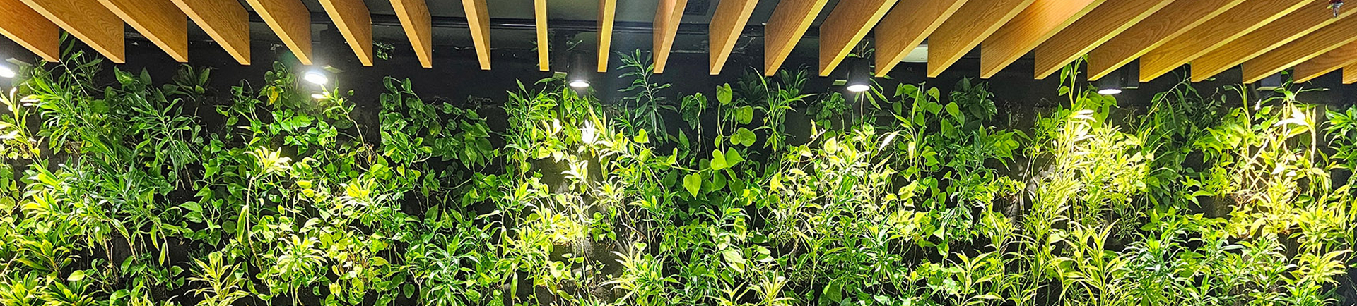 Plant Design & Installation - Indoor Plant Services | Denver | Urban ...